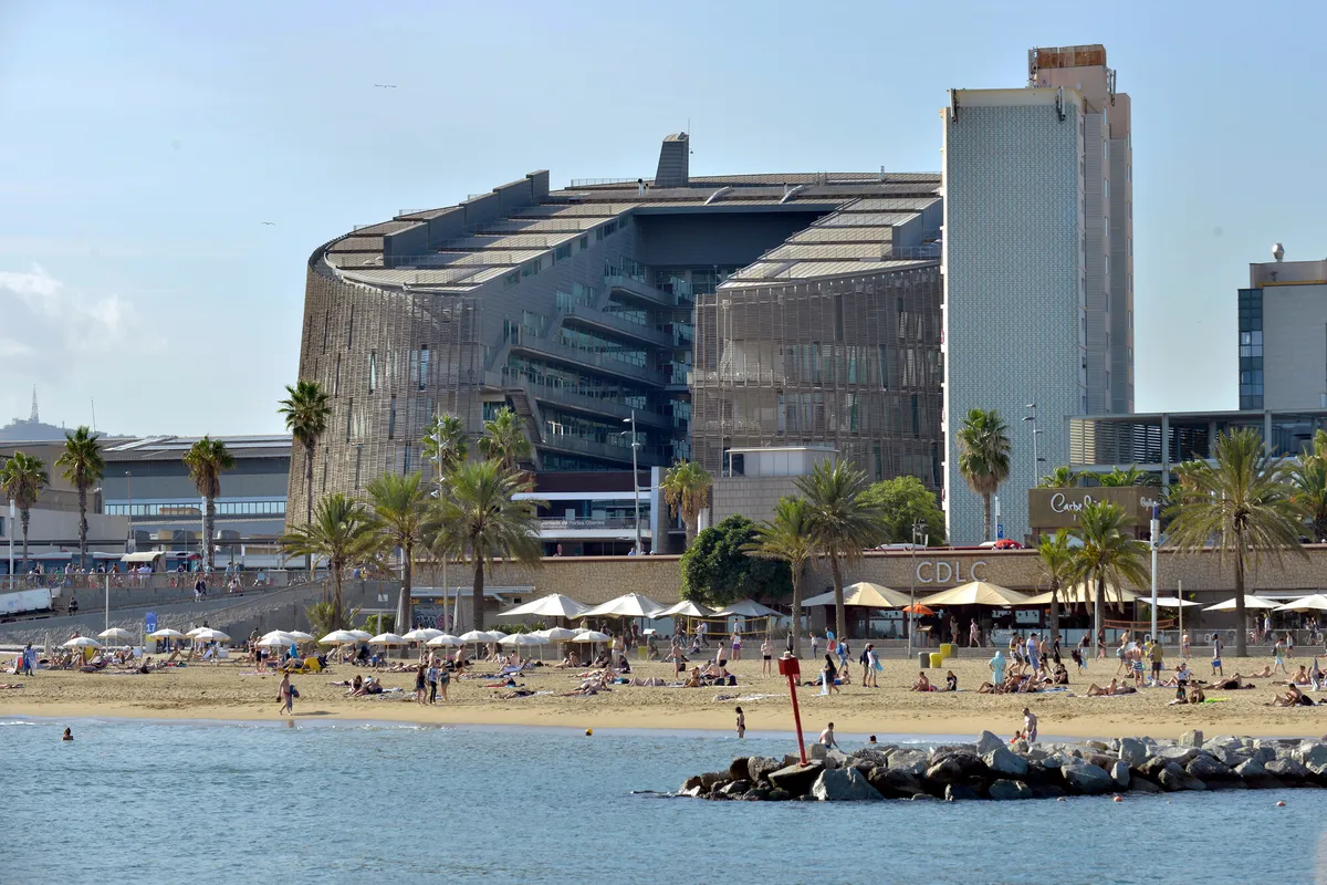 BAMB! 2026 | Barcelona Summer School for Advanced Modeling of Behavior